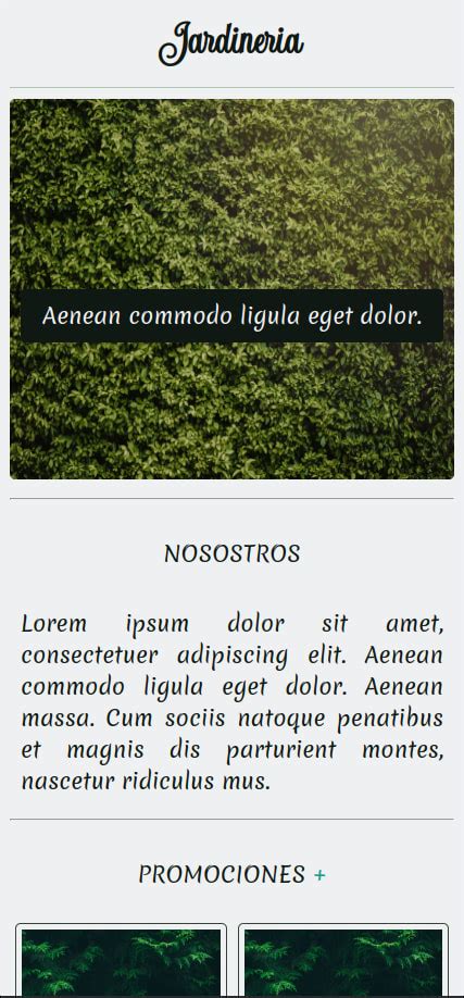 mi proyecto del curso introducción al desarrollo web responsive con