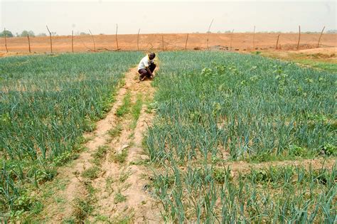 Teebo Growing Hope Is Teêbos Newest Agricultural Program To Alleviate Hunger And Reduce