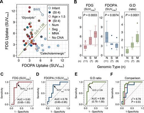 Fdg And Fdopa Uptake By Primary Nb Tumors And Their Association With Download Scientific