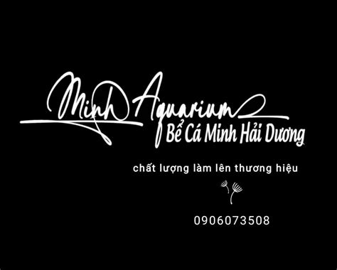 Bể Cá Minh Hải Dương Bể Cá Chuyên Nghiệp