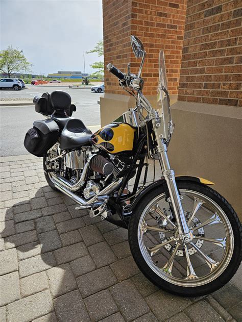 2004 Harley Davidson® Fxst I Softail® Standard For Sale In North Fork
