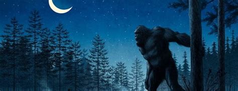 The 10 Types Of Bigfoot Sasquatch Sasquatch Chronicles