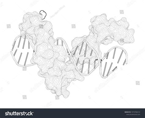 3d Rendering Line Drawing Molecule Structural Stock Illustration 1973706314 Shutterstock