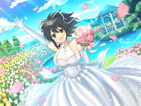 Asuka Senran Kagura And 1 More Danbooru