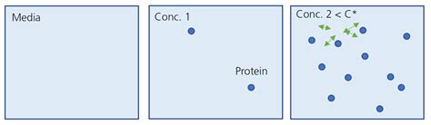 Dna Denaturation