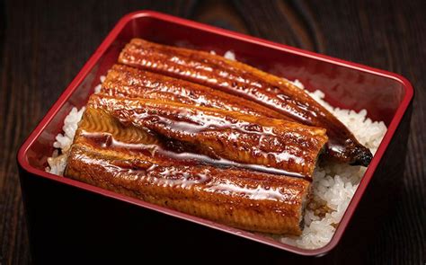 Japanese Eels Your Guide To Unagi And Anago Lets Dive Into The Depths