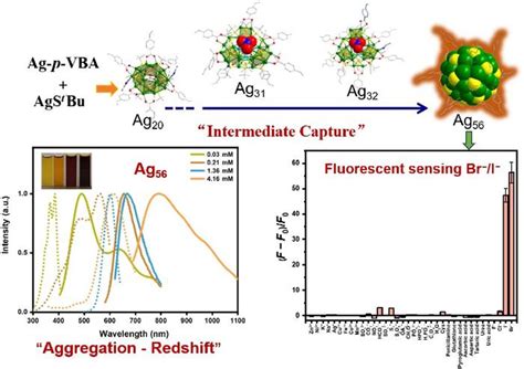 From Intermediate Capture To Functional Clusters Synthesizing Silver