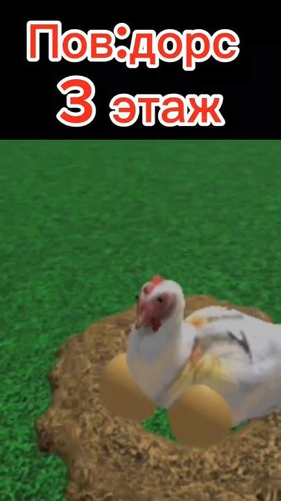 меммемыдорсроблокс Youtube