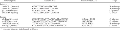 sequences and modifications of the primers and probes used in the download table