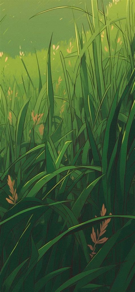 Beautiful Grass Green Wallpapers Aesthetic Green Wallpapers Пейзажи