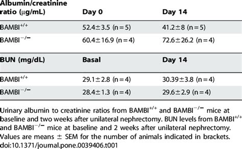 Albumin Creatinine Ratio And Bun Download Table