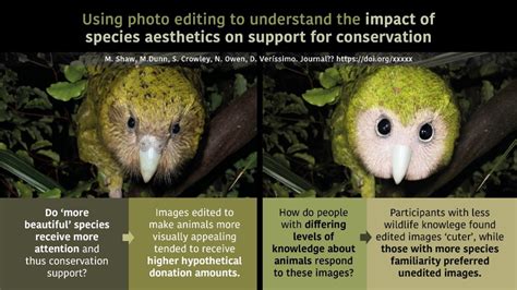 Plain Language Summary Beauty Bias In Conservation The Impact Of