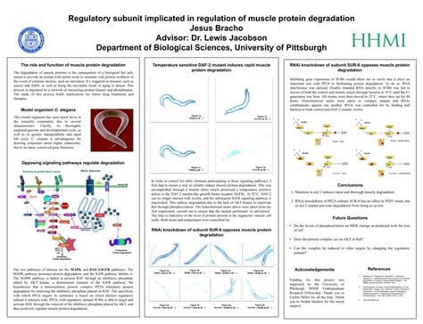 Hhmi Poster Final Pdf Endocrine And Metabolic Diseases Diseases