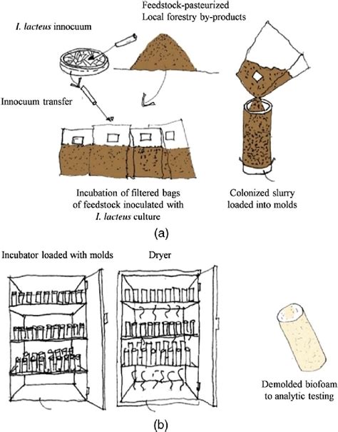 Schematic Of Bioengineering Sample Preparing Images By Philippe