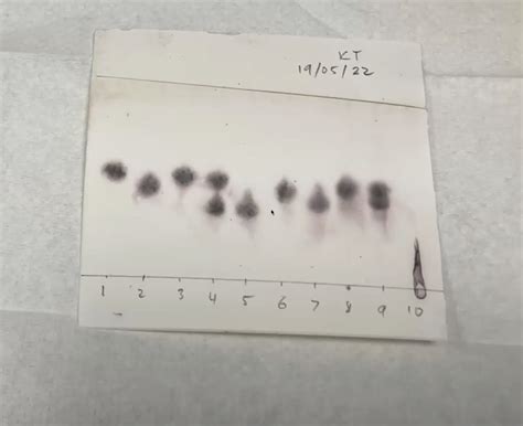 Solved Produce A Figure Of Your Prac Thin Layer Chegg