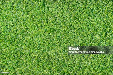 Green Grass Texture With Seamless Patterns Natural Colorful Garden Top