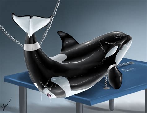 Rule 34 Anatomically Correct Anatomically Correct Genitalia Anatomically Correct Pussy Blue