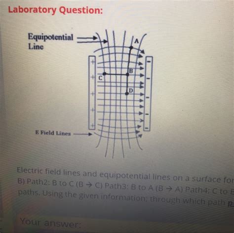 Solved Electric Field Lines And Equipotential Lines On A