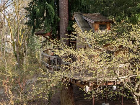 Tree Houses And Angular Day Angular Newsletter