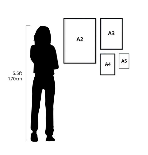 Chalkboard Torso Anatomy Art Set Of 3 Codex Anatomicus