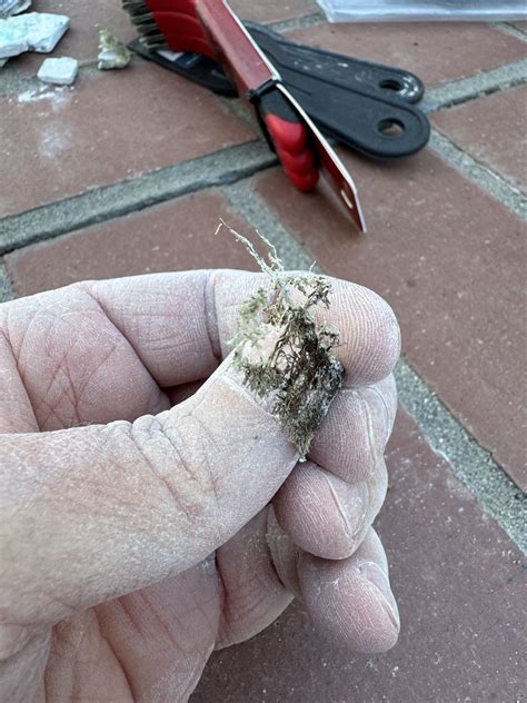 Roots Vs Spa Tiles Album On Imgur