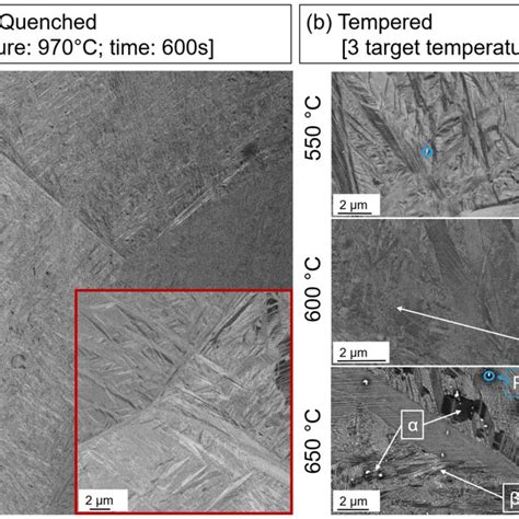 A Sem Images Bse Mode Of The Homogenized And Quenched Download