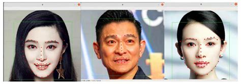 Face Keypoint Detection Method Based On Blazeghost Network
