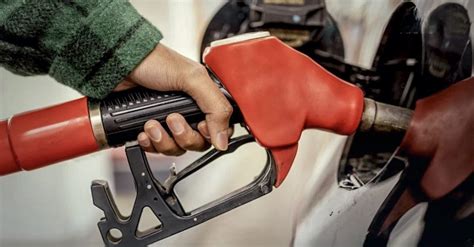 De Regering Van Thailand Heeft De Voorgestelde Maatregelen Van Het Eppo Goedgekeurd Olleke