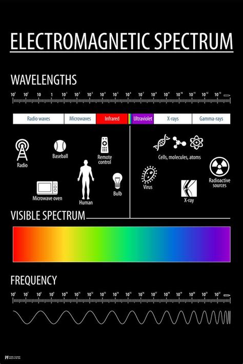 Laminated Electromagnetic Spectrum Chart Reference Science Physics Visible Light Wavelength