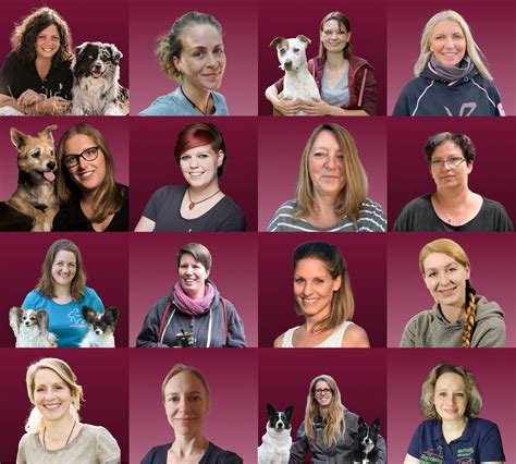 Julia Hammerschmidt Erfolgsprojekt Für Deine Hundeschule