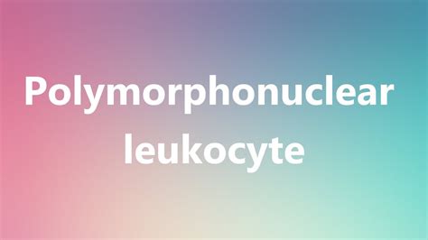 Polymorphonuclear Leukocyte Medical Meaning And Pronunciation Youtube