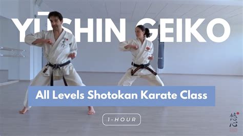 1 Hour Shotokan Karate Class For All Levels Kihon Kumite And Heian