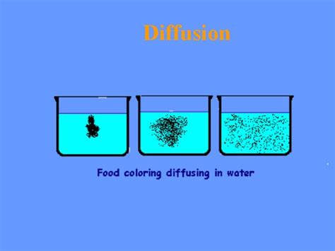 Cell Membranes Osmosis And Diffusion Functions Of Membranes