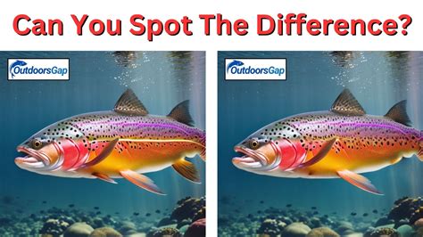 Fishing Spot The Difference Outdoors Gap