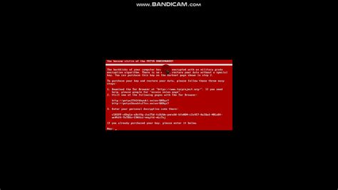 Вирус ПЕТЯ тест Первое видео Youtube