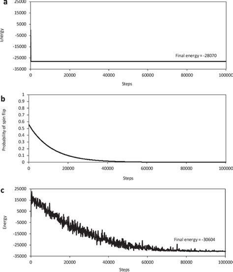 Process Of Ground State Search Of Ising Model By Ising Chip A
