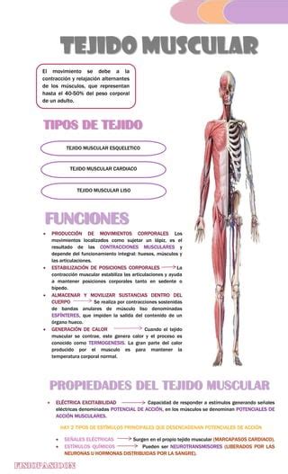 Tejido Óseo Muscular Esqueletico Terminado Pdf