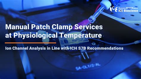 Manual Patch Clamp Services At Physiological Temperature