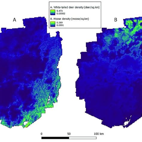 A Predicted White Tailed Deer Density Individualskm 2 For 1 Km 2