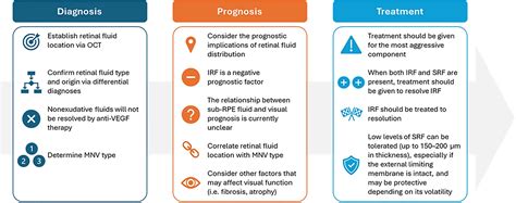 Subretinal Fluid In Amd Need Not Always Be Treated Review Suggests