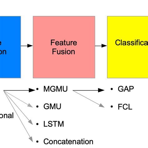 General Classification Pipeline And Its Options Of Configuration At Download Scientific Diagram