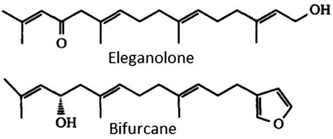 5 Example Of Two Types Of Diterpenes Produced By Bifurcaria Bifurcata Download Scientific