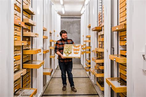 Inside Californias Race To Document Its Insects A Conversation With Chris Grinter