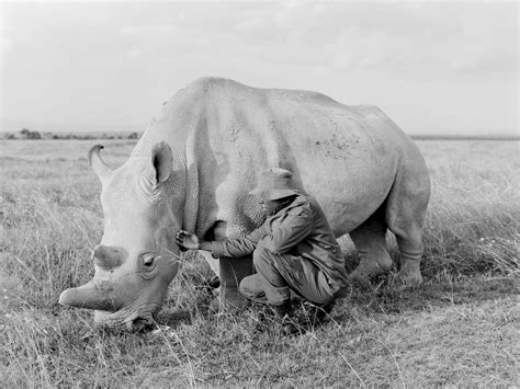 Devotion Render Loyalty