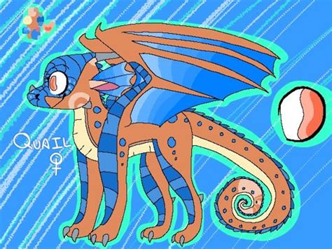 Quail Of The Rainwings Wiki Wings Of Fire Amino