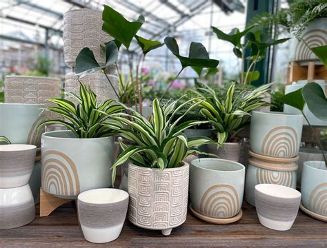 Ceramic Pottery For Plants Creative Diy Garden Ideas Ceramic Planters