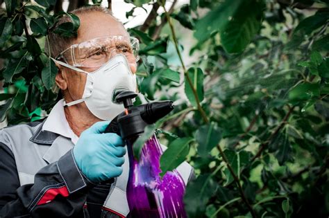 El Uso Excesivo De Agroquímicos En Paraguay Impactos Ambientales Y
