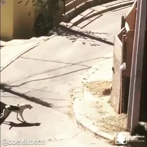 Ignacio Vazquez Elliott Posted On Linkedin