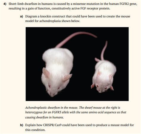 Solved 4 Short Limb Dwarfism In Humans Is Caused By A