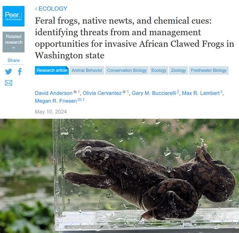 So Proud Of Olivia Cervantez Publishing Her First Of What Will Be Many